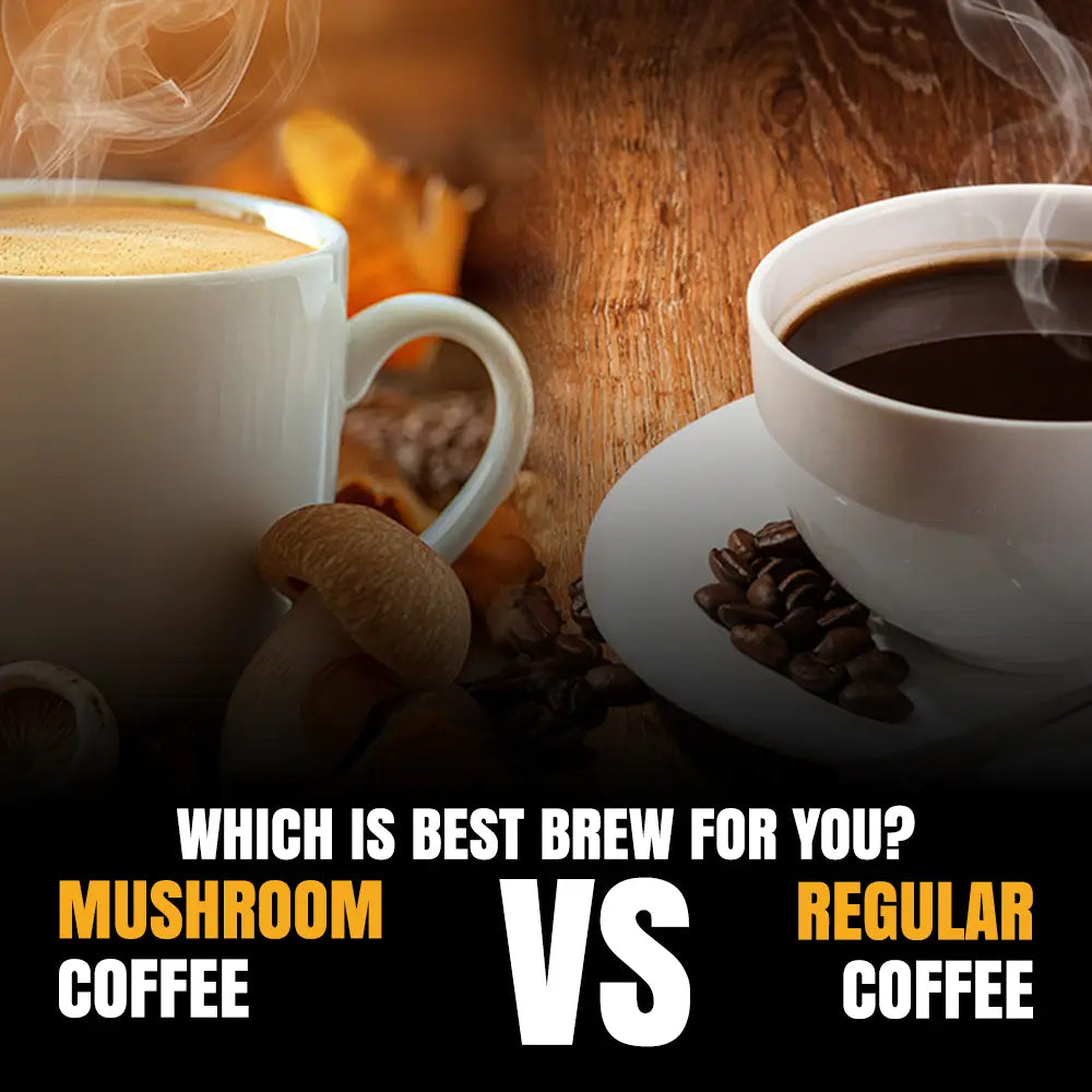 Mushroom Coffee vs Regular Coffee | Benefits, Taste & More – WELLNESS ...