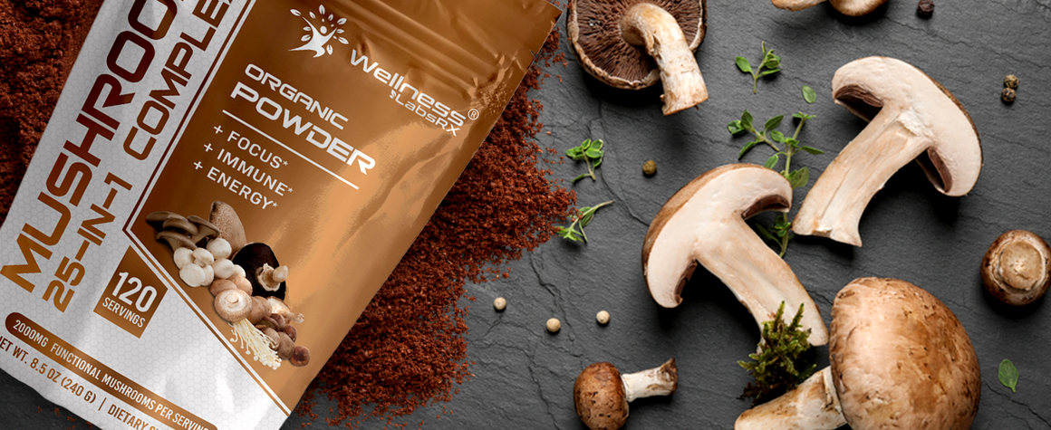 Organic Mushroom Powder, Mushroom Supplement Extract Reishi, Chaga ...